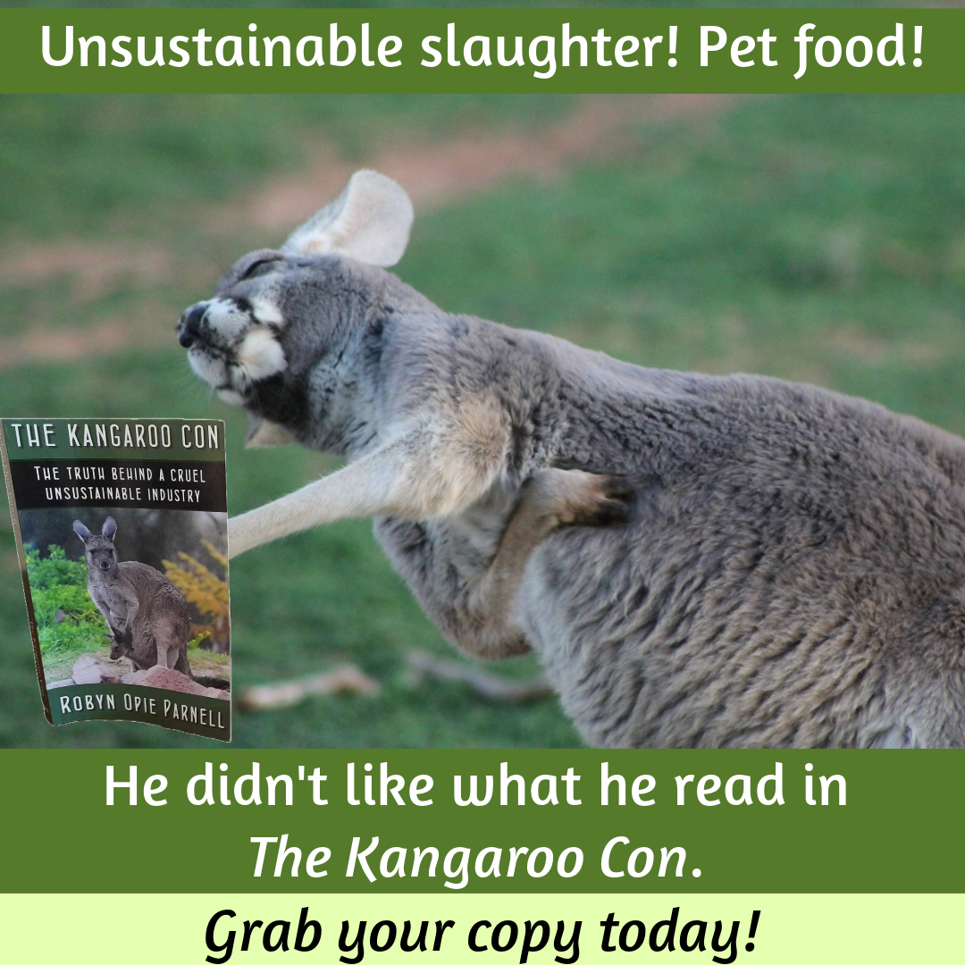 World Kangaroo Day - Kangaroo