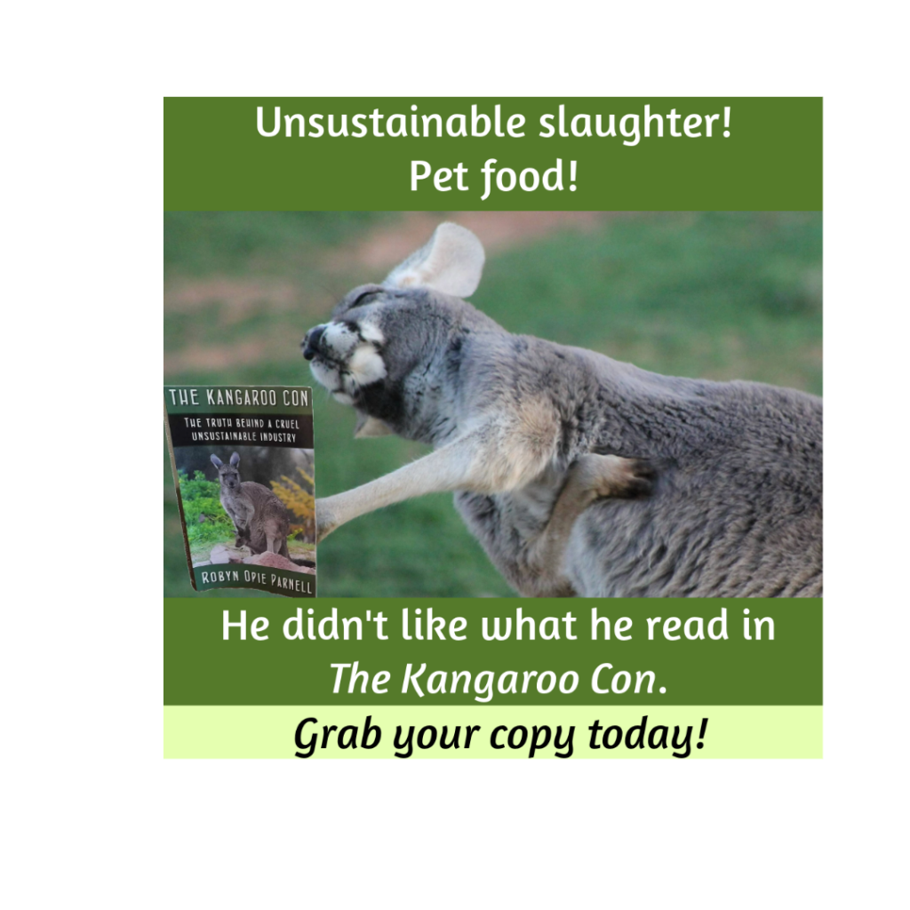 Kangaroo