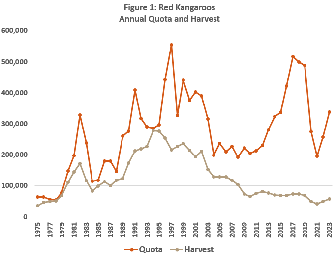 Red Kangaroo Numbers Soar - On Paper Only - Kangaroo
