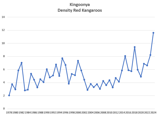 Red Kangaroo Numbers Soar - On Paper Only - Kangaroo