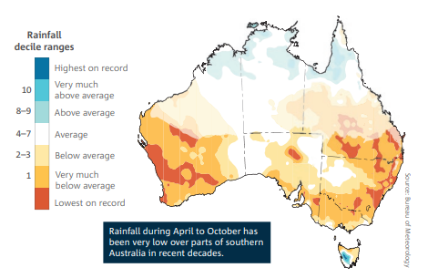 Red Kangaroo Numbers Soar - On Paper Only - Kangaroo